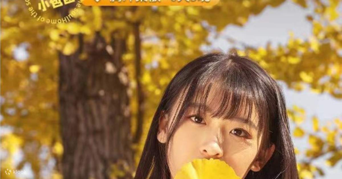 Tengchong, Ginkgo, Ginkgo-Dorf, Mangshi - Klook, Vereinigte Staaten